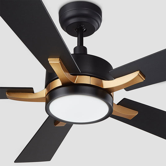 Shop Luxury Designer Ceiling Fans at Smafan