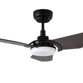 Trailblazer 56 inch Outdoor Smart WiFi Fan with LED Light kit